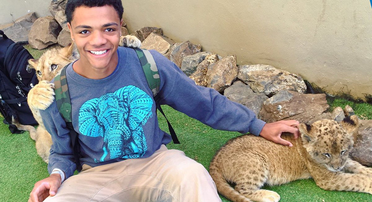 Seeking to Understand the World