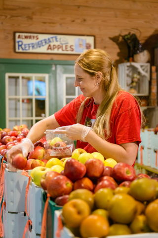 Apple Works: A Haven for Harvest Fun