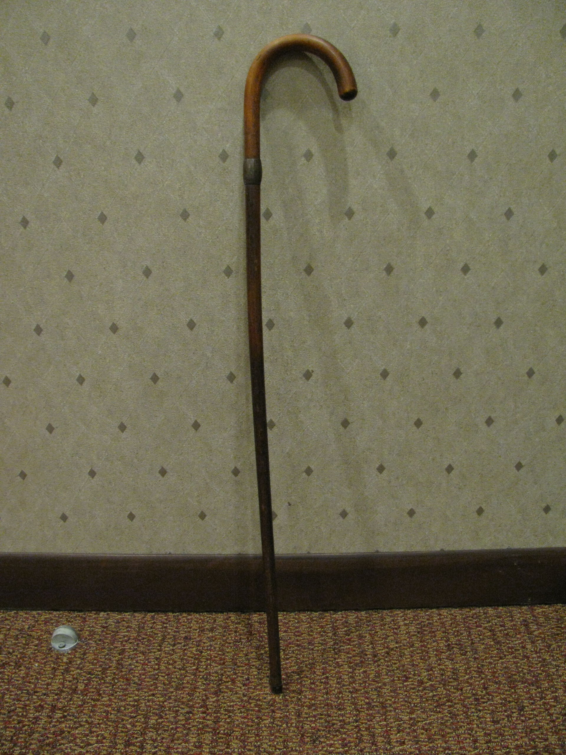 A Figure Leaning on a Cane