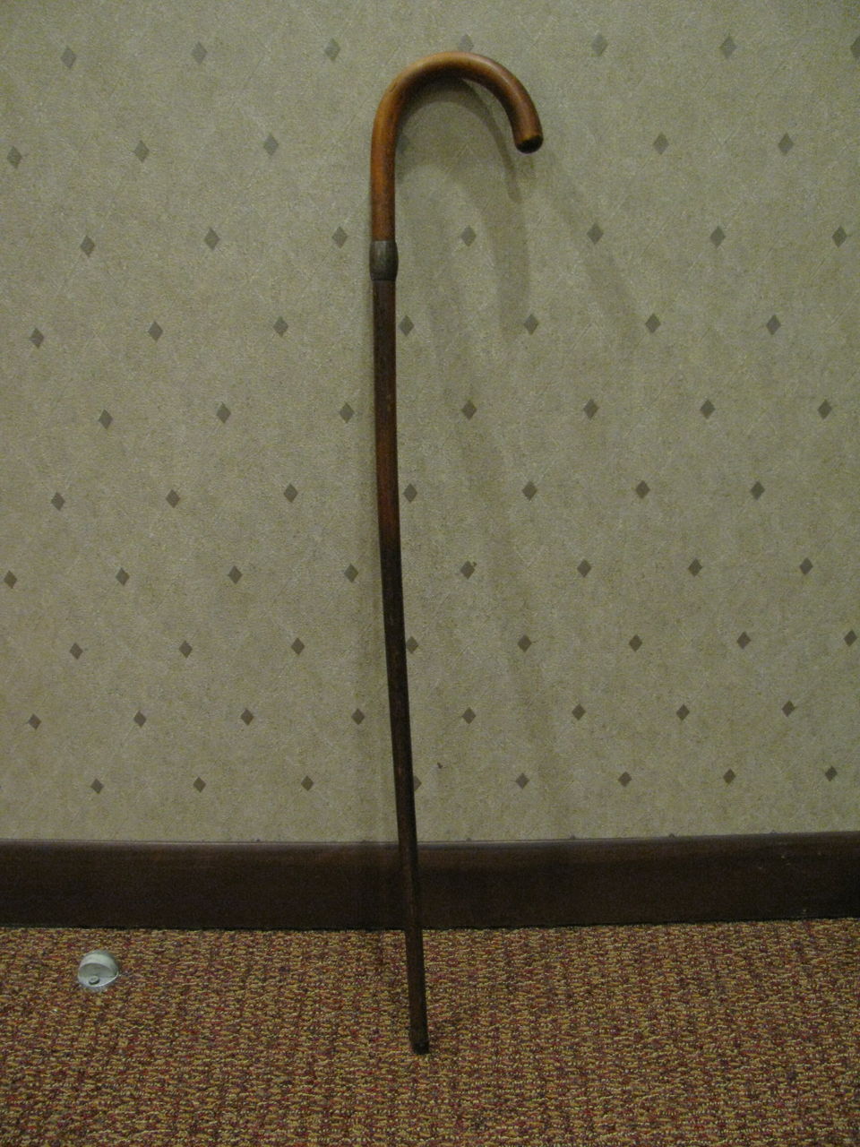 A Figure Leaning on a Cane